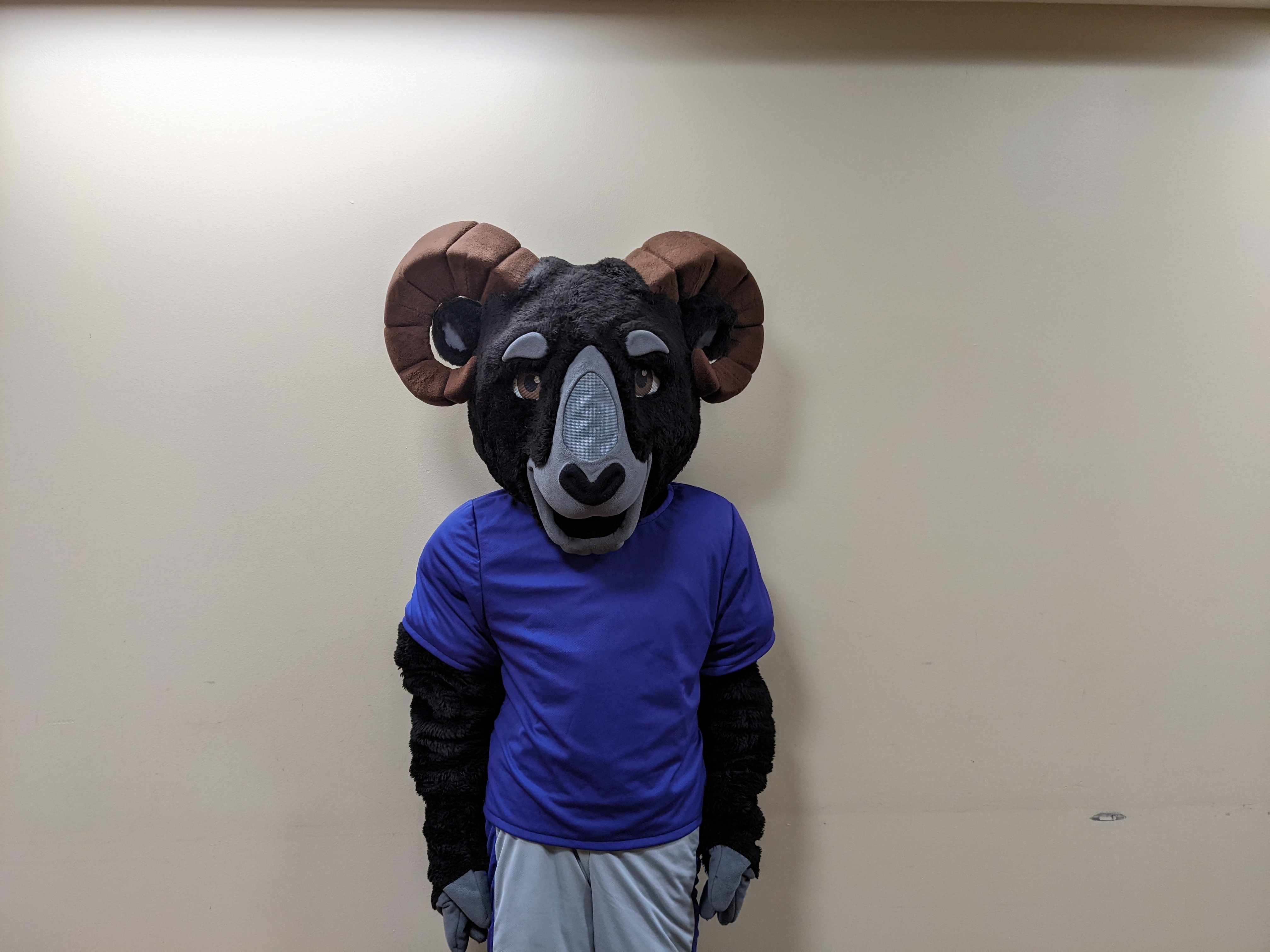 ID Photo Guidelines - Cornell College