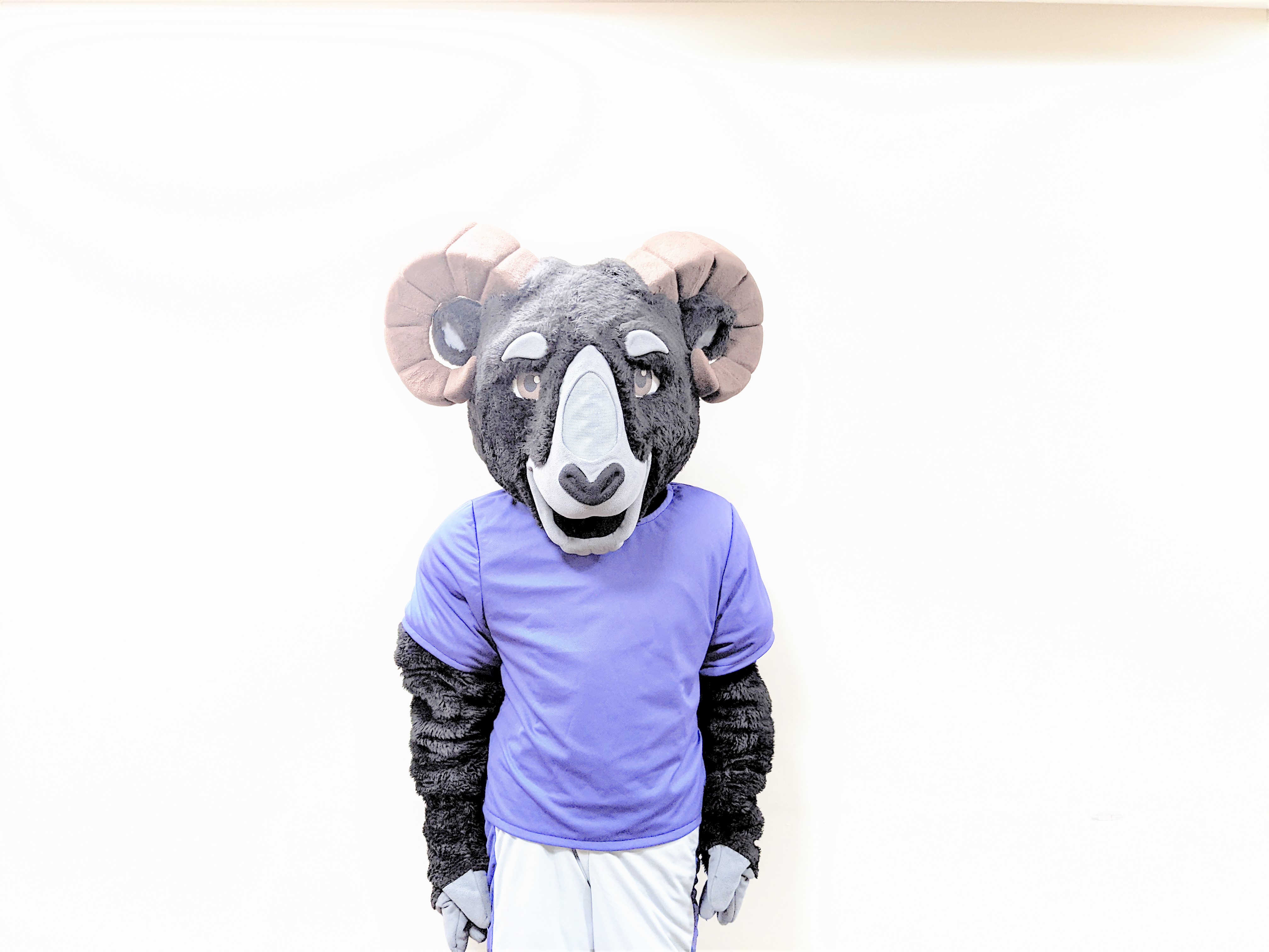 ID Photo Guidelines - Cornell College